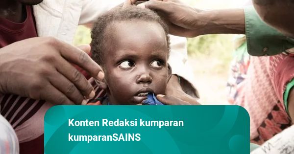 Kisah Bocah 4 Tahun Tersesat di Hutan Afrika Penuh Hyena Selama 6 Hari | kumparan.com